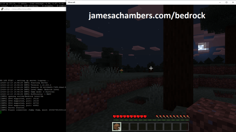 Official Minecraft Bedrock Dedicated Server on Raspberry Pi*